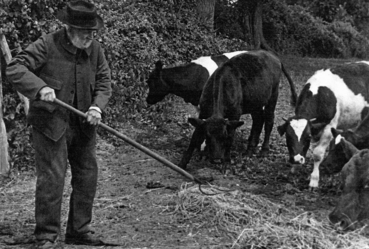 Daniel Bullen – Carbrooke History